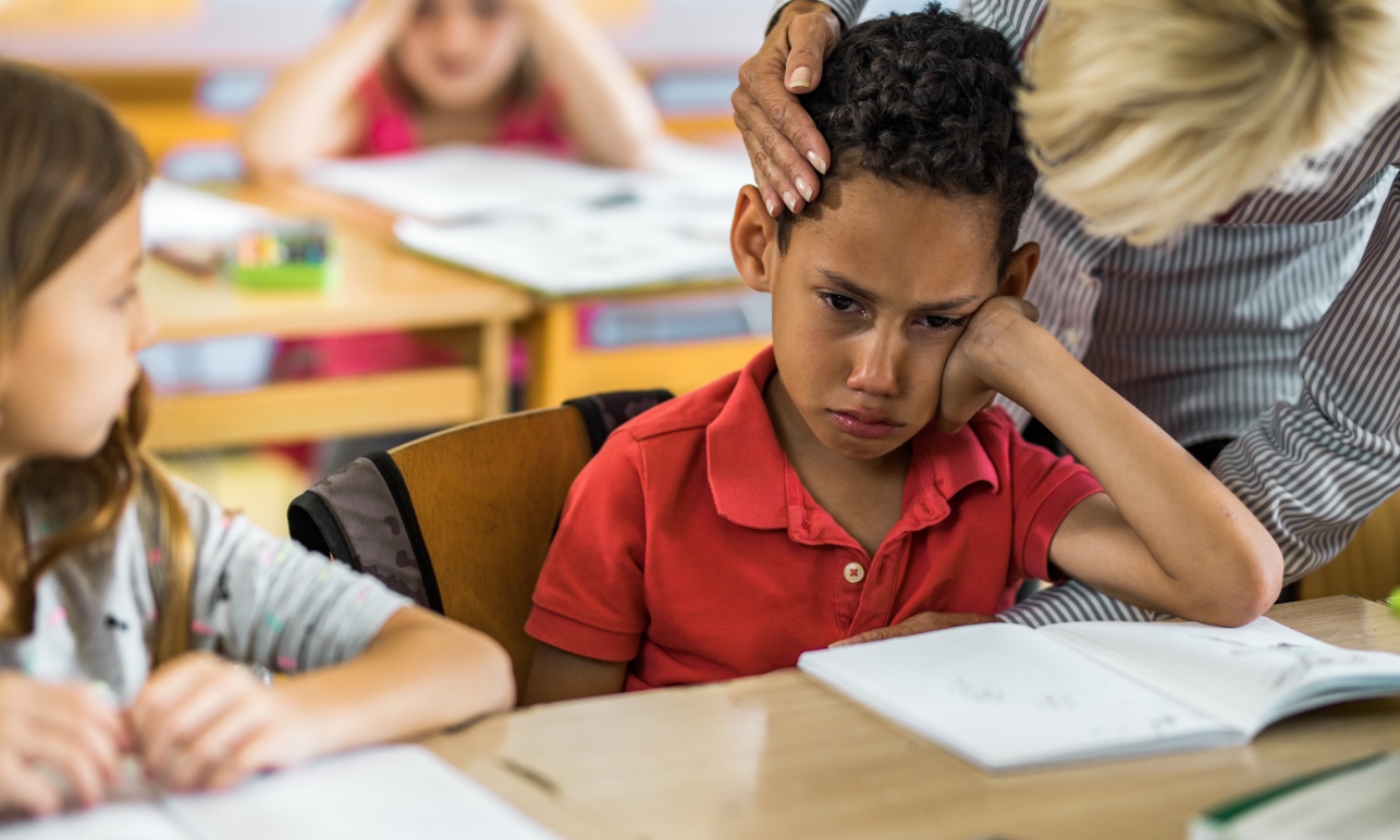 Risk Indicators, by SchoolData.net